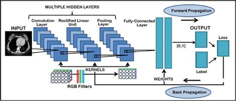 E Schematic Diagram Of Convolution Neural Networks Rgb Red Green Blue