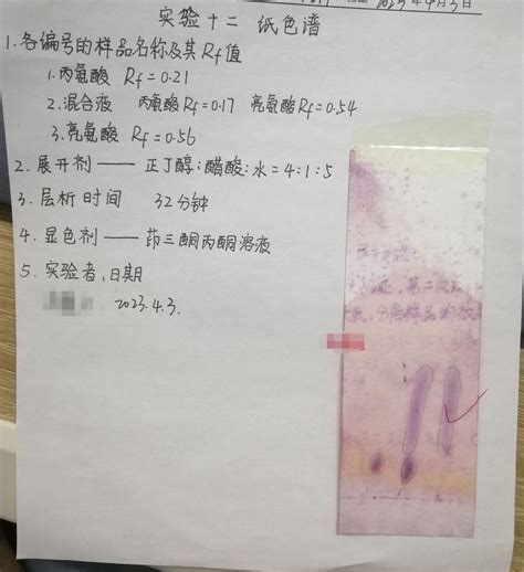 有机化学 纸色谱纸层析 知乎