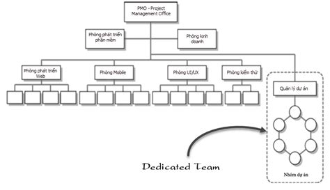 Cơ Cấu Dự án Chuyên Trách Dedicated Project Team Là Gì Ưu điểm Hạn
