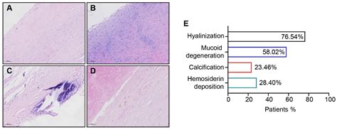 Jcm Free Full Text Clinicopathological Correlation Of Chronic