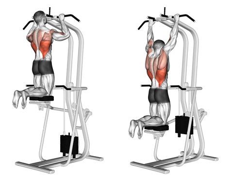 Assisted Pull Up Band And Machine Benefits Muscles Worked And More Inspire Us