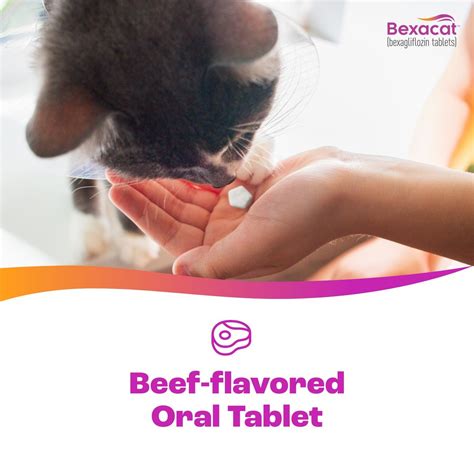 Bexacat Flavored Tablets For Cats 15mg Easy Refills Chewy Rx