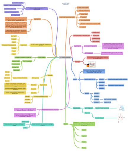 The Creation Of Human Syahrul Amin 2208s60143 Coggle Diagram