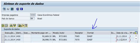 Payment Medium Formats Sap Community