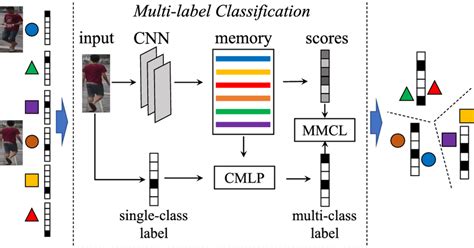 Illustrations Of The Proposed Multi Label Classification For Download Scientific Diagram