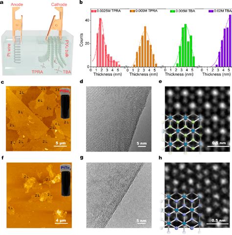 Characterization Of The Electrochemically Exfoliated Ptse 2 Ptte 2 Download Scientific Diagram