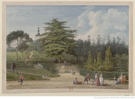 La Fascinante Histoire De Larbre De Ans Du Jardin Des Plantes Paris ZigZag Insolite