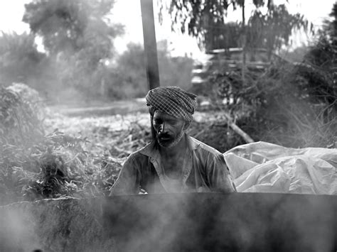 Sugar Stocks Rally Explained Marketfeed