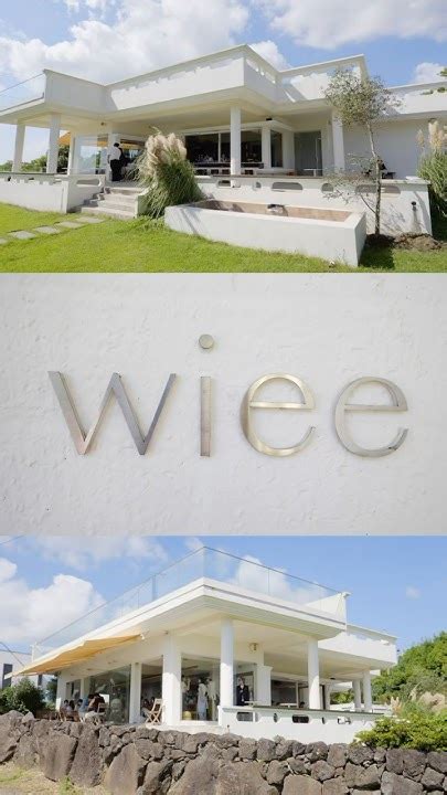 제주 산방산 뷰 브런치카페 위이 제주도 제주여행 제주도카페 Youtube