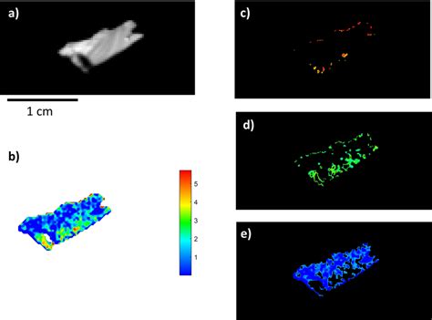 Nir Hsi Results For Sample Bra 3813 A Grey Scale Total Intensity Image Download Scientific
