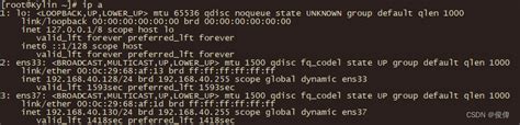 银河麒麟kylin Server V10 Sp3操作系统初始化（设置主机名、挂载数据盘、设置网卡bond模式）麒麟v10磁盘挂载 Csdn博客