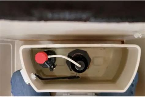 Kohler Toilet Flush Problems 5 Easy Troubleshooting