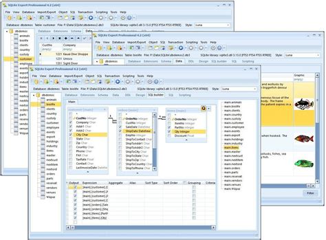 СУБД что это виды структура функции где и как используются системы управления базами