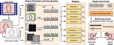 overview of the proposed face spoofing detection approach training