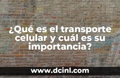 ¿qué Es El Transporte Celular Y Cuál Es Su Importancia
