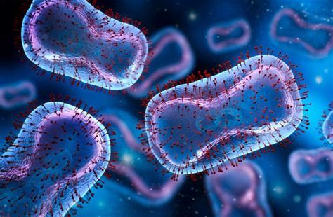 Mpox Virus Can Replicate On Surfaces For Days Consumer Health News