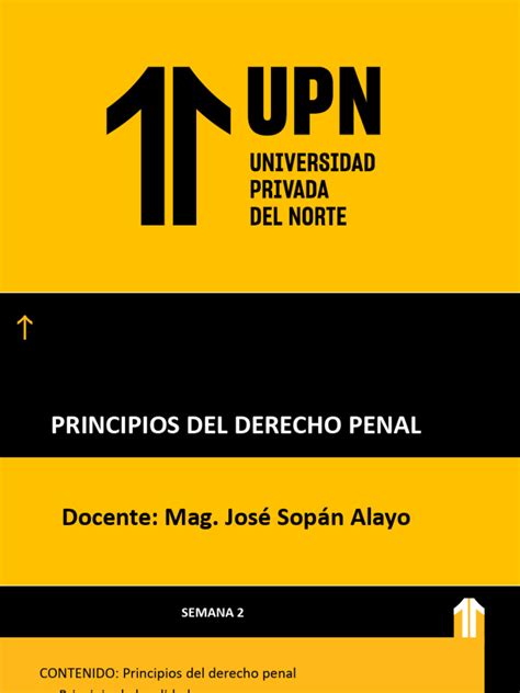 Principios Del Derecho Penal Pdf Derecho Penal Crímenes