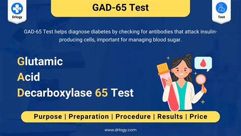 Glutamic Acid Decarboxylase Gad 65 Test Price And Results Drlogy