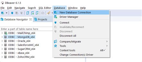 Connect Dbeaver To Oracle Via Odbc Driver Devart