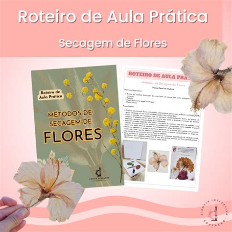 Roteiro De Aula Prática Ciência Interativa