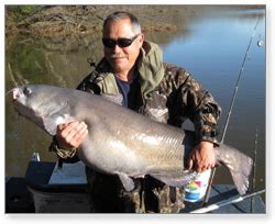 Fall Blue Catfishing On The James River Update Discover The James