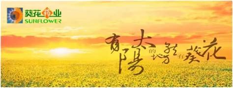 葵花药业再出大事，其背后的原因触目惊心 搜狐大视野 搜狐新闻