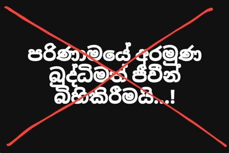 පරිණාමික දිනපොත Diary Of Evolution පරිණාමයේ අරමුණ බුද්ධිමත් ජීවීන්
