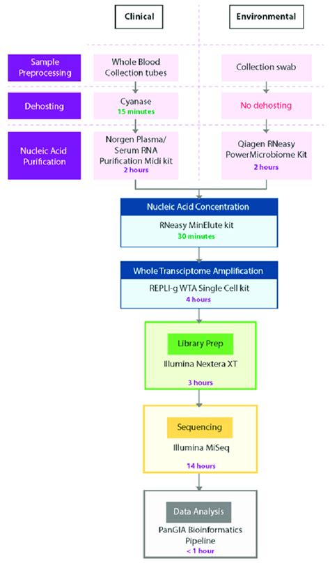 Pangia Clinical And Environmental Workflows This Figure Provides An