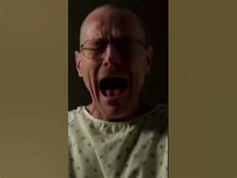 Walter White Screaming Breaking Bad Youtube
