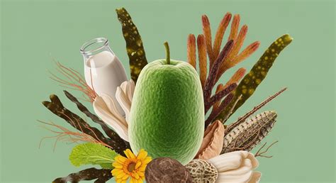 Seaweed Bioplastics Scale Up Validating Fossil Free Chemical Feedstock