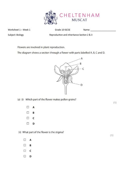 Worksheet 2 On Reproduction Igcse Biology Pdf