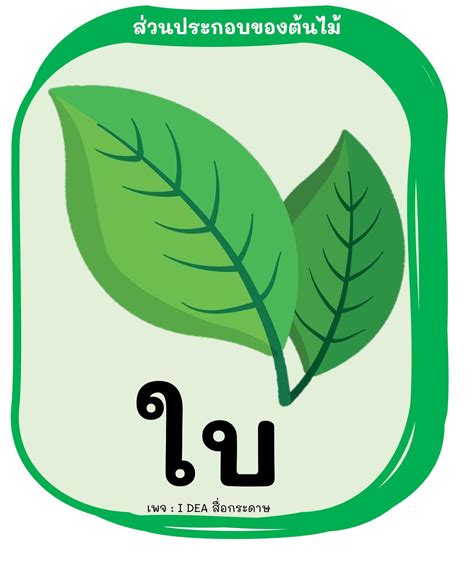 ต้นไม้ที่รัก ️ สนใจ ไฟล์แก้ได้ I Dea สื่อ กระดาษ Facebook