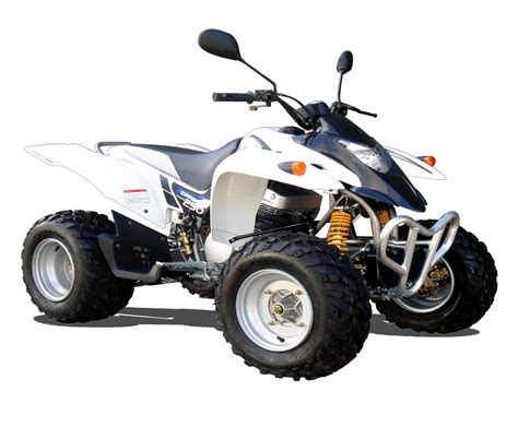 The Quadzilla 250 At The Motorcycle Specification
