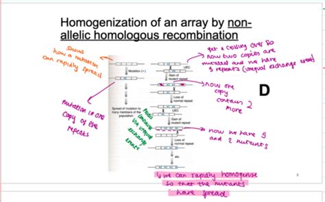 Tandemly Repeated DNA Flashcards Quizlet
