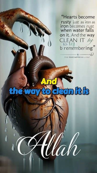 Purify Your Heart Prophets Wisdom 🌟 Islamic Insight Youtube