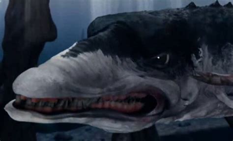 Lucius The Barracuda By Zackarmejejs On Deviantart