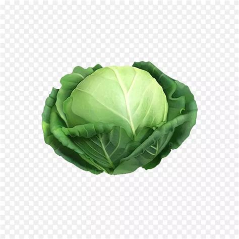 白菜花椰菜爱尔兰菜蔬菜卷心菜PNG图片素材下载 图片编号211239 PNG素材网