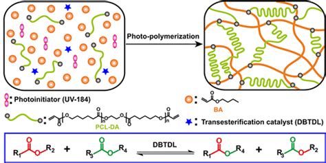 Thermadapt Shape Memory Pcl Co Pba Network Exhibiting Tunable Properties And Dynamics Of Ester