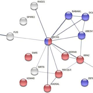 String Analysis Of Functional Interactions In Gene Set Gobp Double