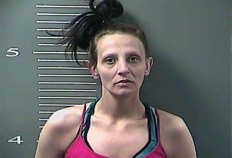 Machelle Blevins Big Sandy Area Mugshots News