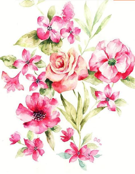唯美彩色手繪花卉插畫集 植物花朵水彩水粉繪畫作品設計素材492 每日頭條