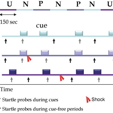 Schematic Representation Of Sequences Of Stimulus Presentation During Download Scientific
