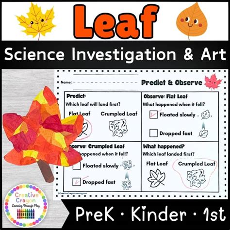 Leaf Investigation Science Activities And Craft Prek And Kindergarten