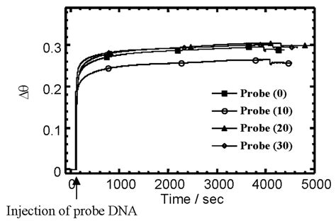 Detection Of Dna Hybridization On Dna Array By Spr Imaging Download