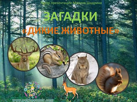 Загадки Дикие животные презентация онлайн