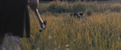 Making An Improvisational Feature Daniel Lotz On Chlorine Indie Film Junction