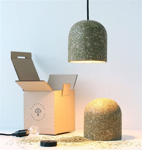 Sustainable Design Solutions With Sophia Major Founder Of Igolo