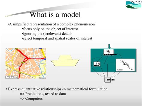 ppt ecological modelling powerpoint presentation free download id