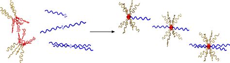 Synthesis Of Supramolecular A8bn Miktoarm Star Copolymers By Host‐guest