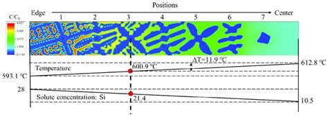 Schematic Of The Conditions About Temperature And Solute Concentration
